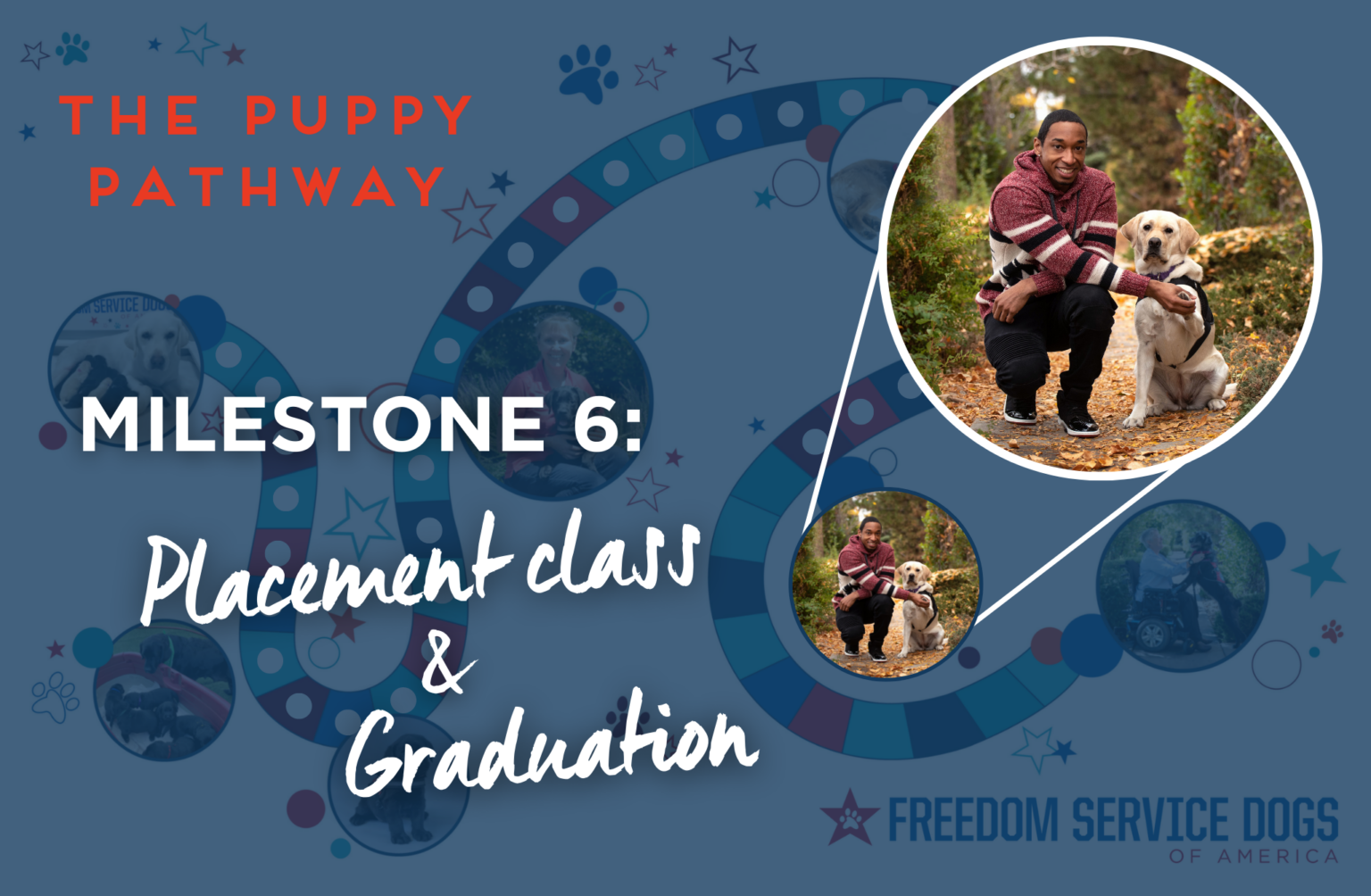 The Puppy Pathway to service dog success - Freedom Service Dogs
