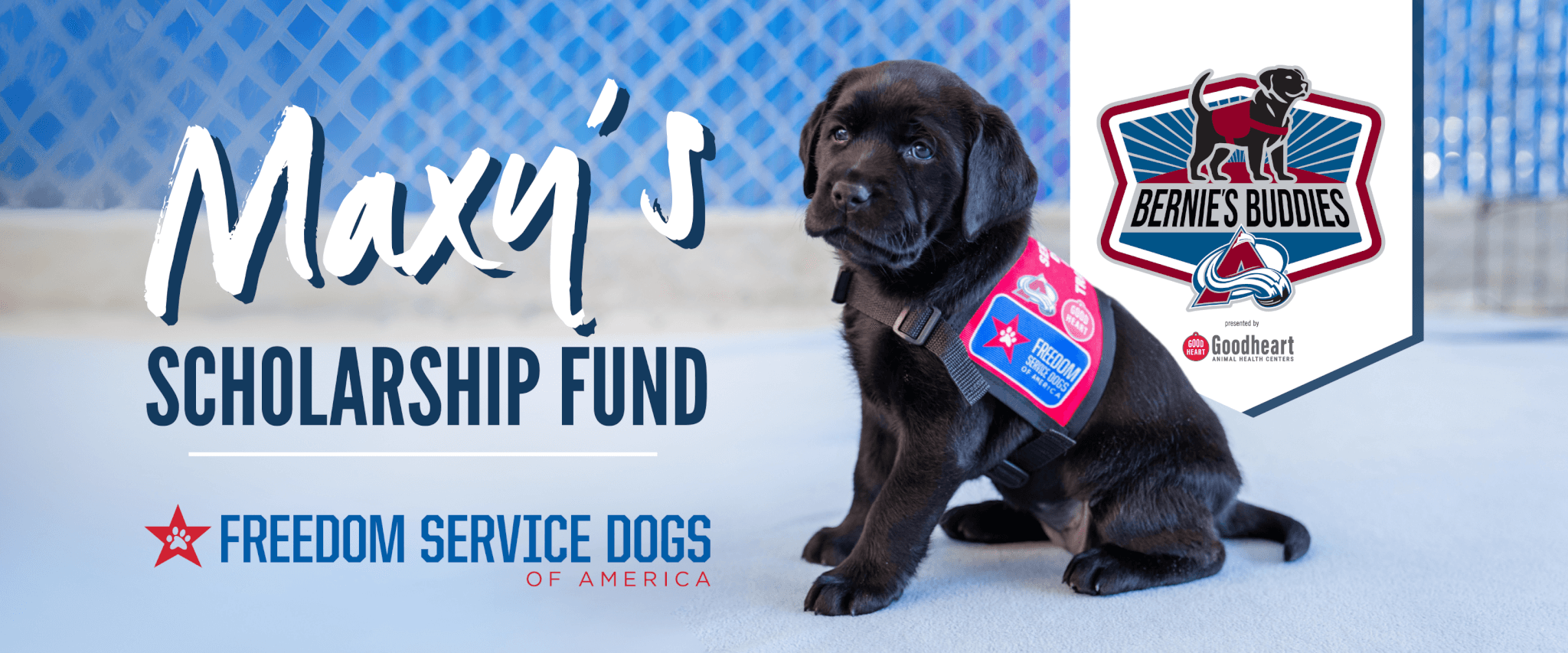 Home - Freedom Service Dogs