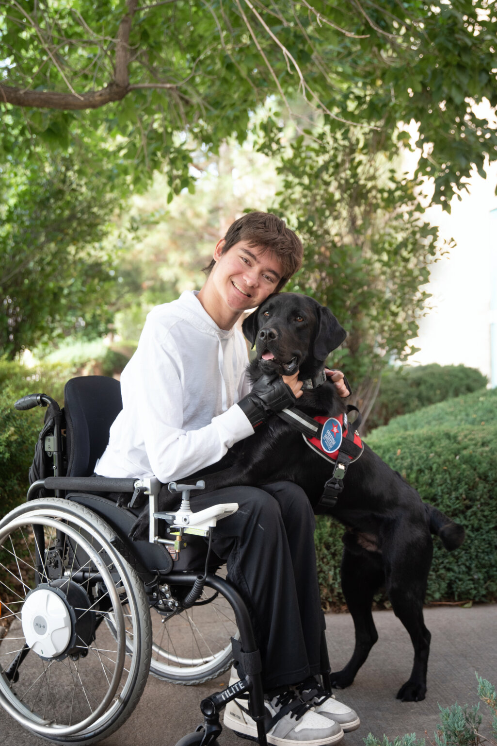 10 Interesting Facts About Service Dogs - Freedom Service Dogs