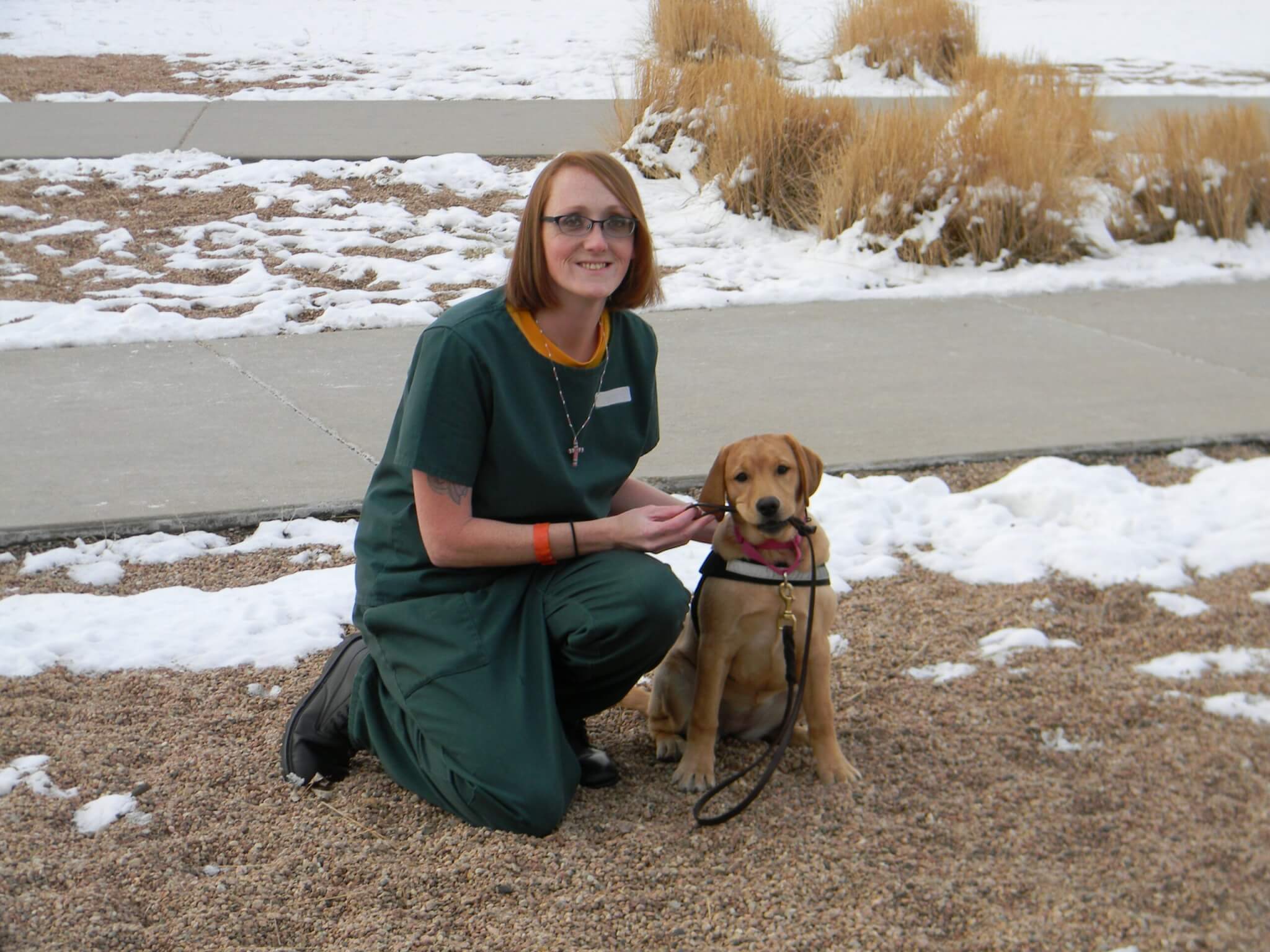 Inside Puppy Prison Programs - Freedom Service Dogs