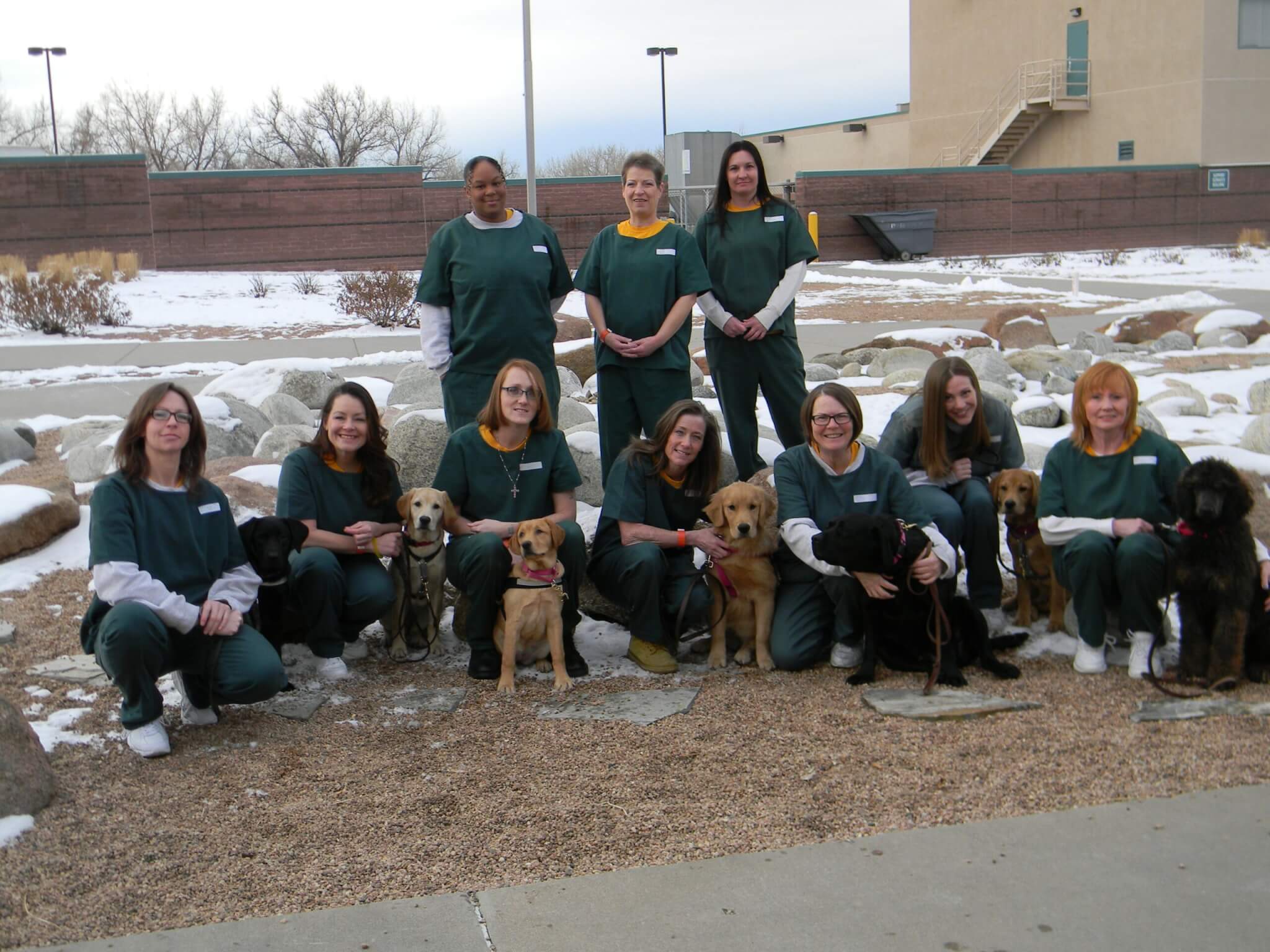 Inside Puppy Prison Programs - Freedom Service Dogs